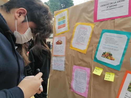 Alimentos saludables